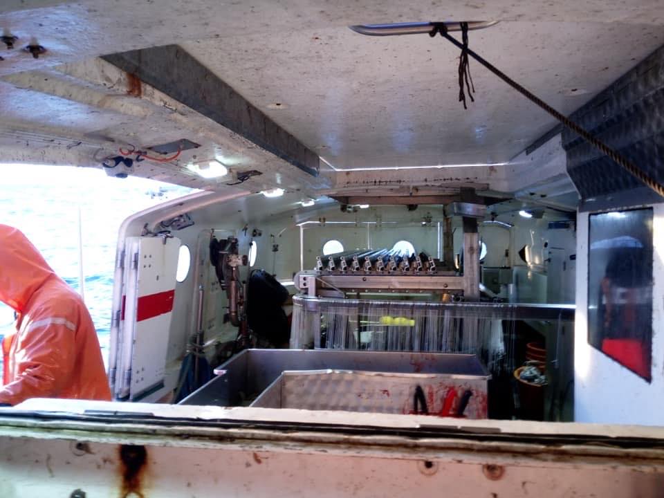 Kr kaaflamarksb tar Kv tamarka ur